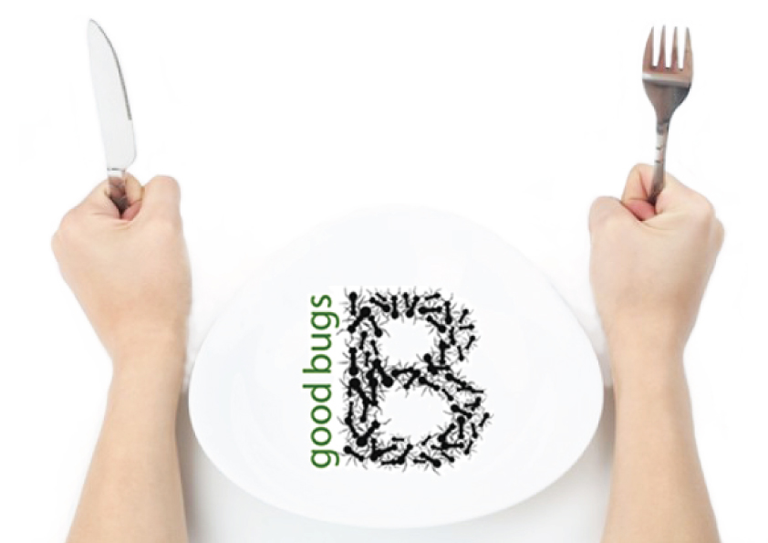 Good Bugs | Maria Markina